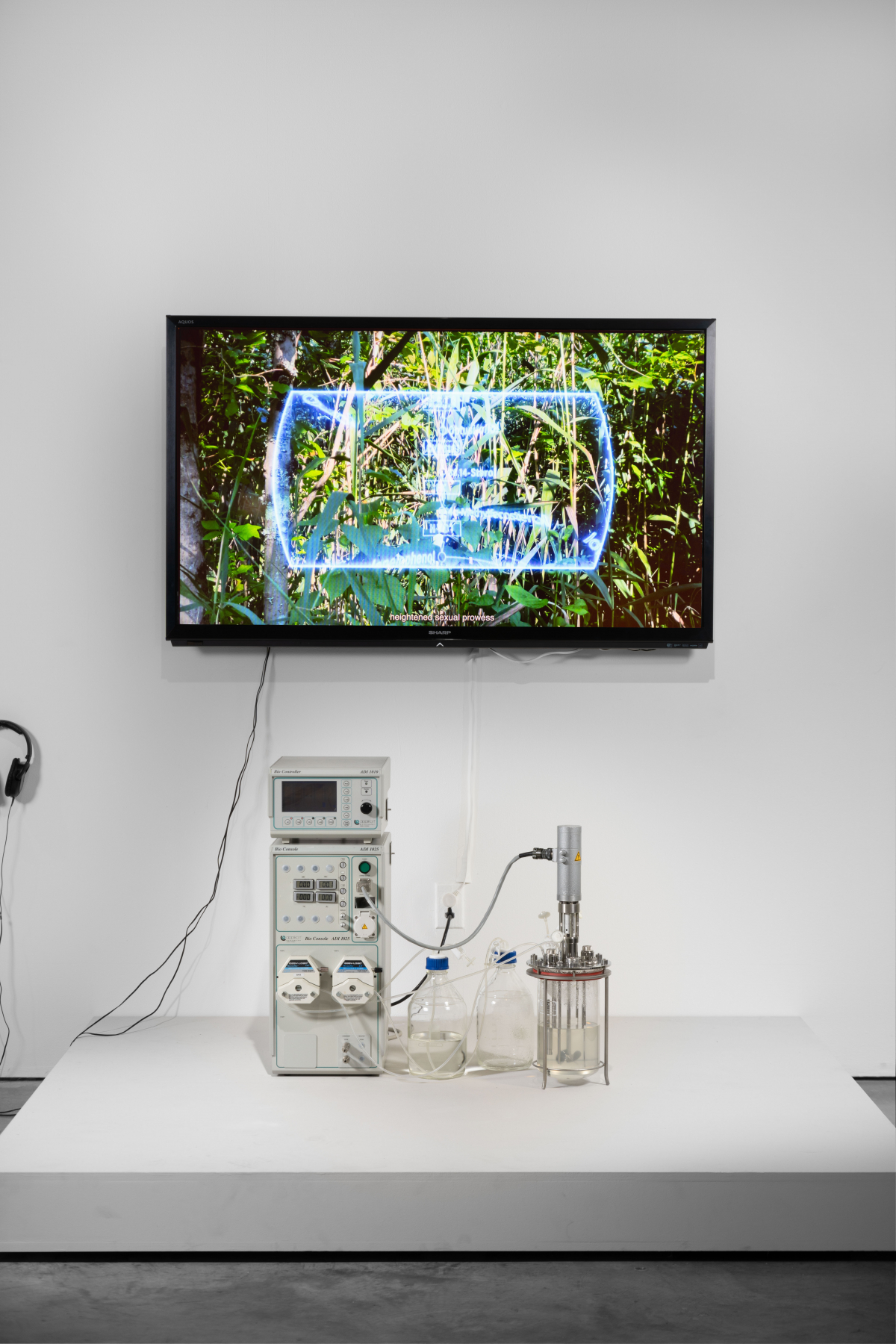 Difference Machines: Technology and Identity in Contemporary Art ...